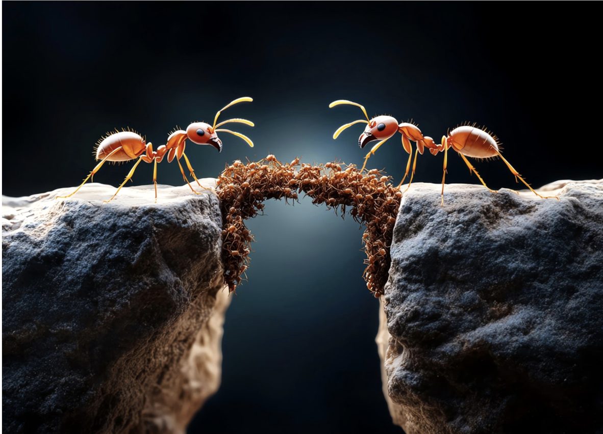 Contact Summit: Flexible PCB, Complex Circuit, Custom PCB